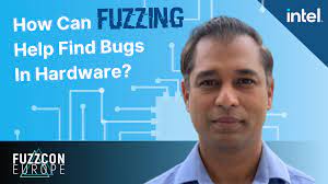 How Can Fuzzing Help Find Bugs in Hardware?
